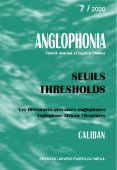 Anglophonia Caliban n° 07 - Seuils Thresholds Les littératures ...